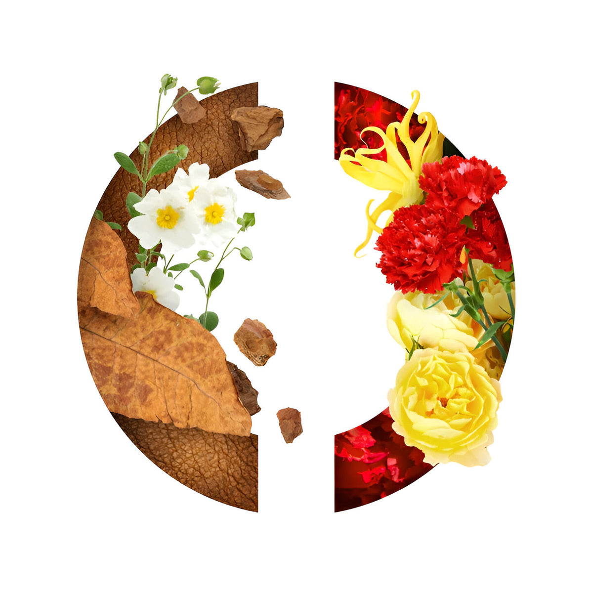 Shop Caron Tabac Blond Parfum in Europe